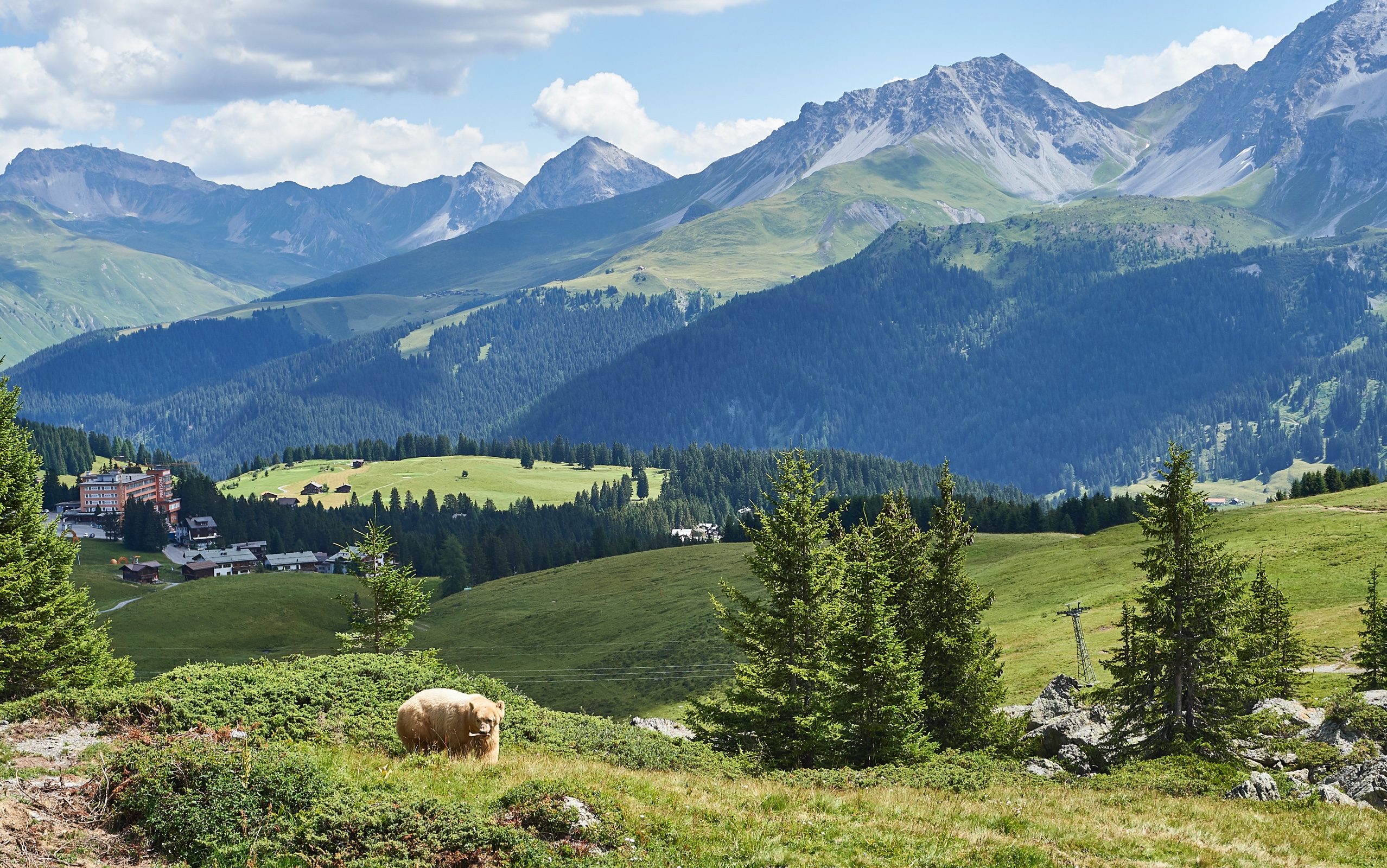 Switzerland Vacation - Discover Graubunden Visit Graubunden