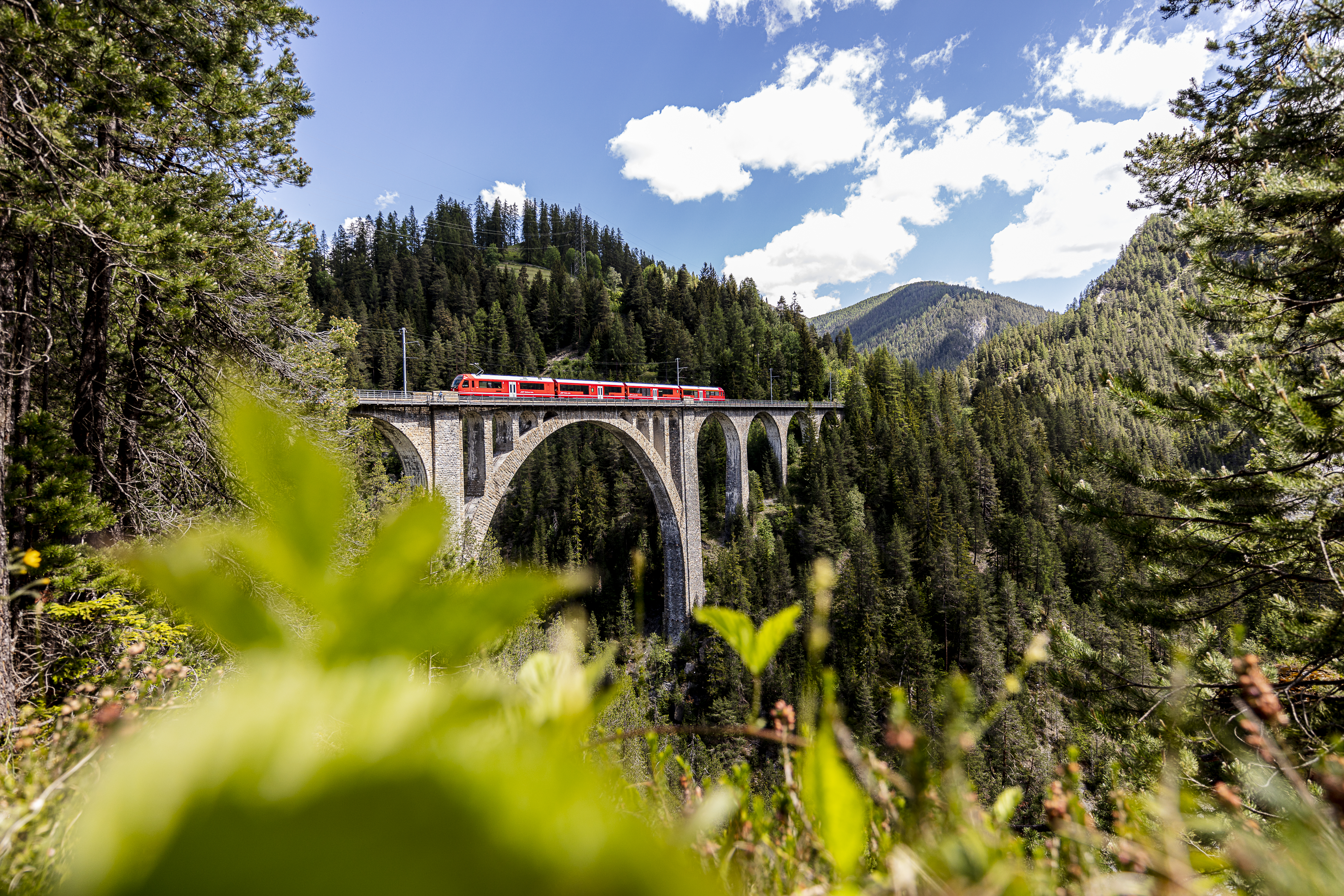 Historic Train & Viaduct in Switzerland