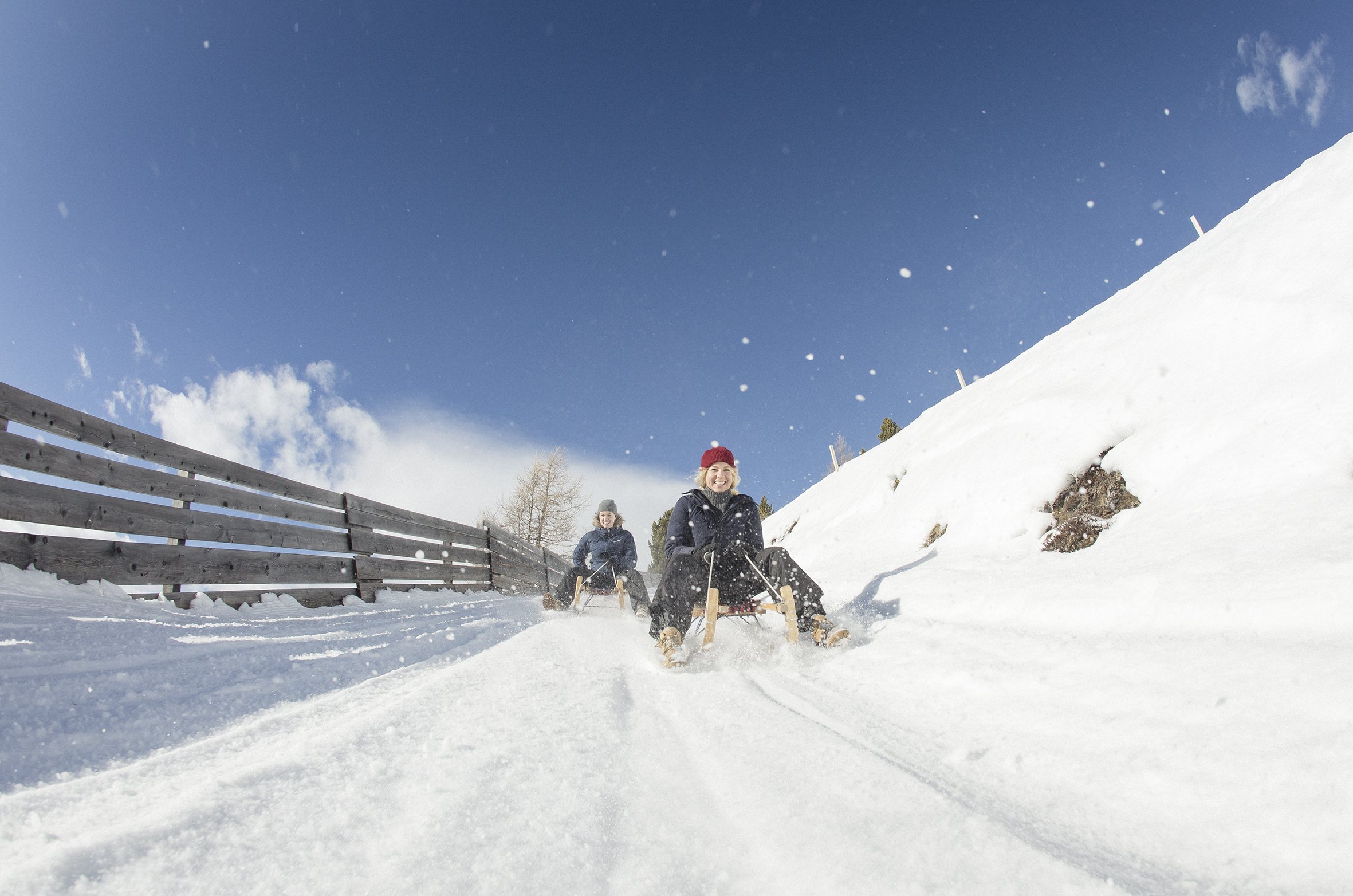 Experience Tobogganing